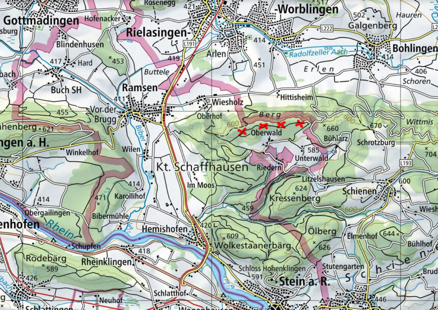 Ein Dorf kämpft gegen Windräder. Hilft der Rotmilan? – seemoz